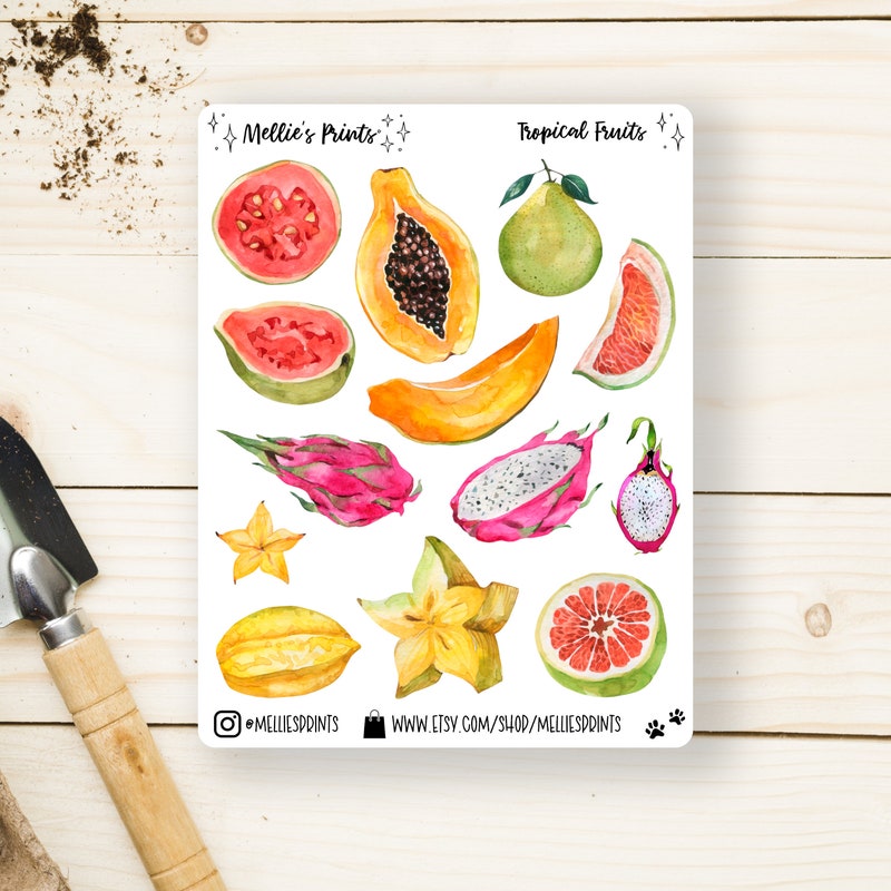 Fruit Stickers - Etsy