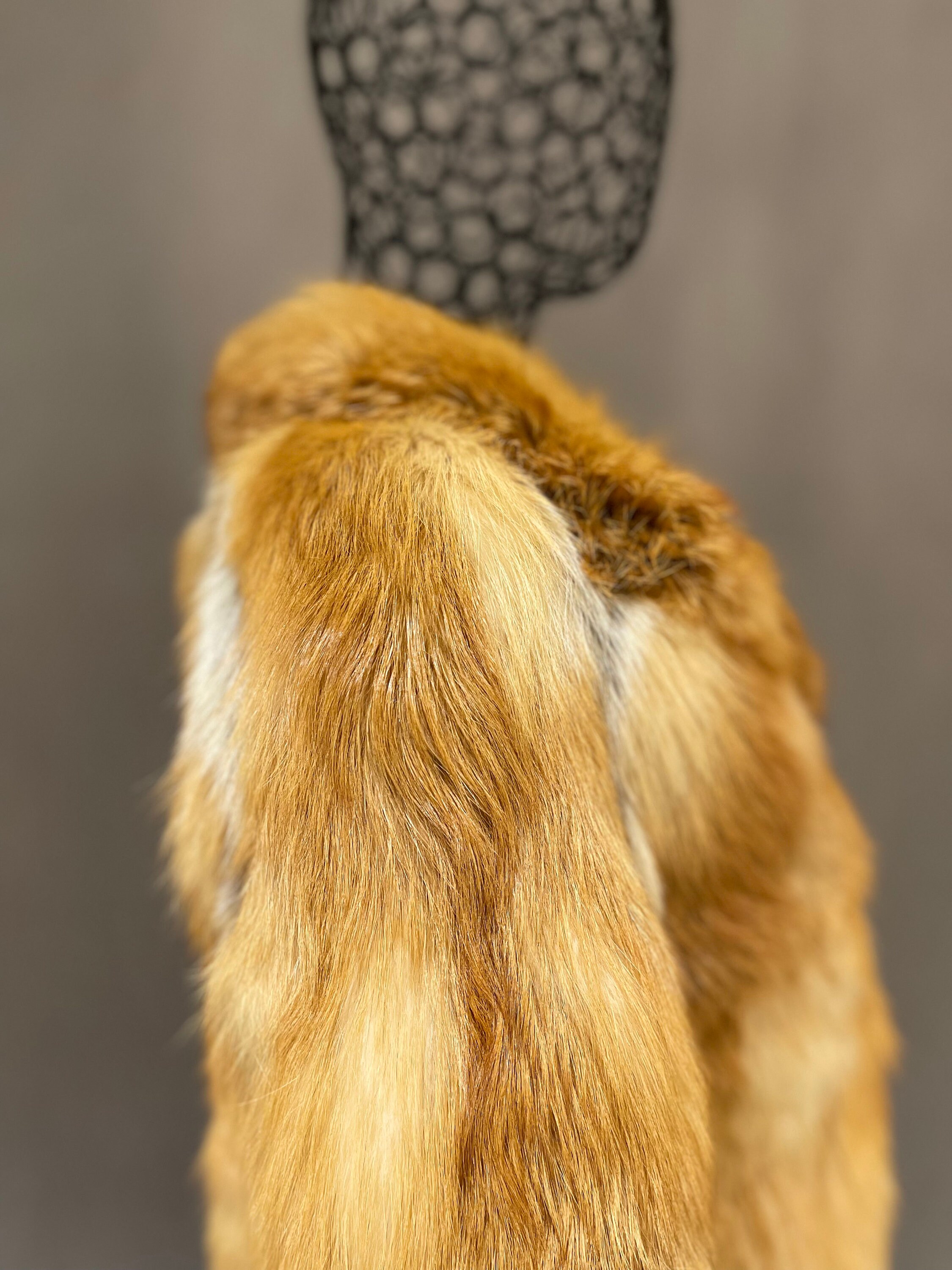 Fox Fur Coat, Red Fox Fur Coat, Vintage Fur Coat, Real Fox Coat, Soft ...