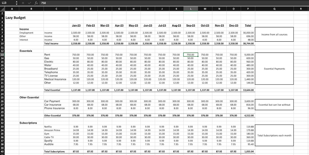 LAZY EVERYDAY BUDGET | Simple Input | Instant Results | Cashflow ...