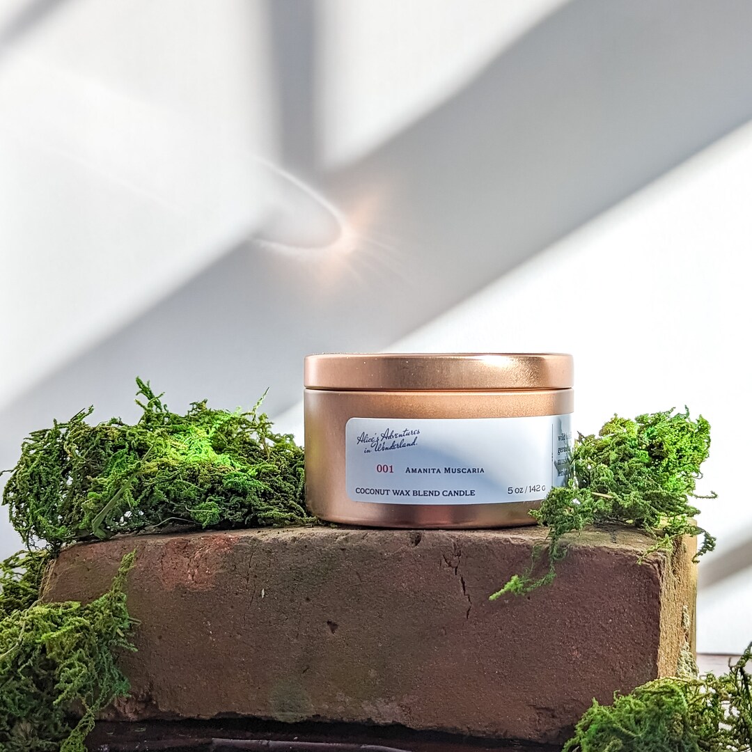 Amanita Mushroom Scented Candle: Forest Soil, Citrus & Basil - Wood ...