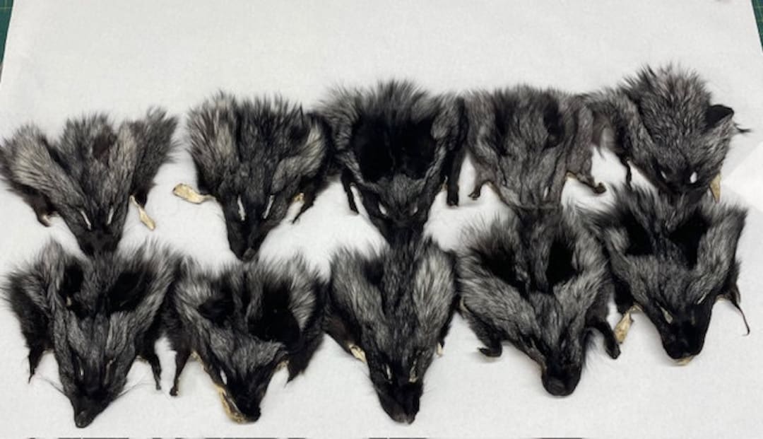Silver Fox Fur Heads - Set of 10 - Etsy