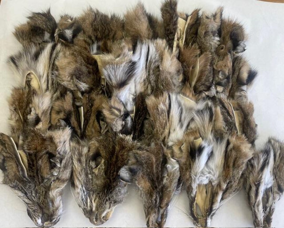 Bobcat Fur Heads - Set of 20 - Etsy