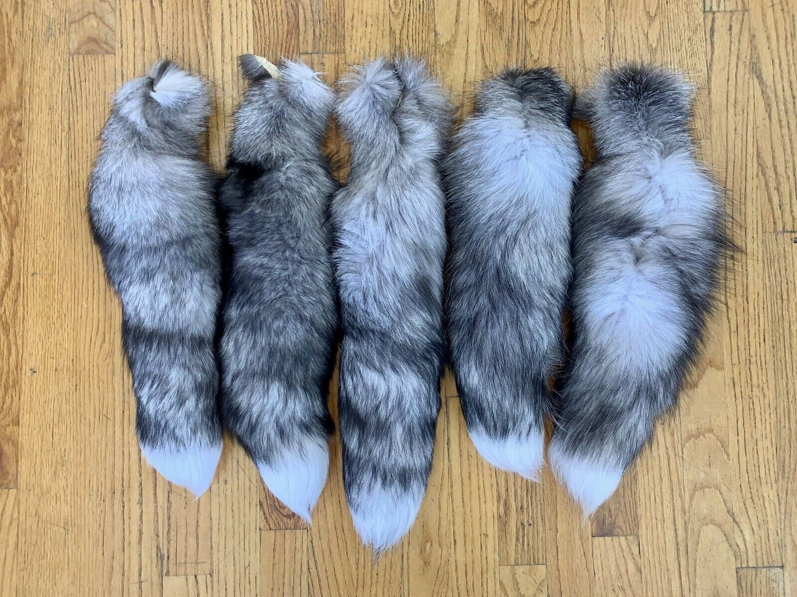 Blue Frost Fox Fur Tails - Set of Five - Etsy