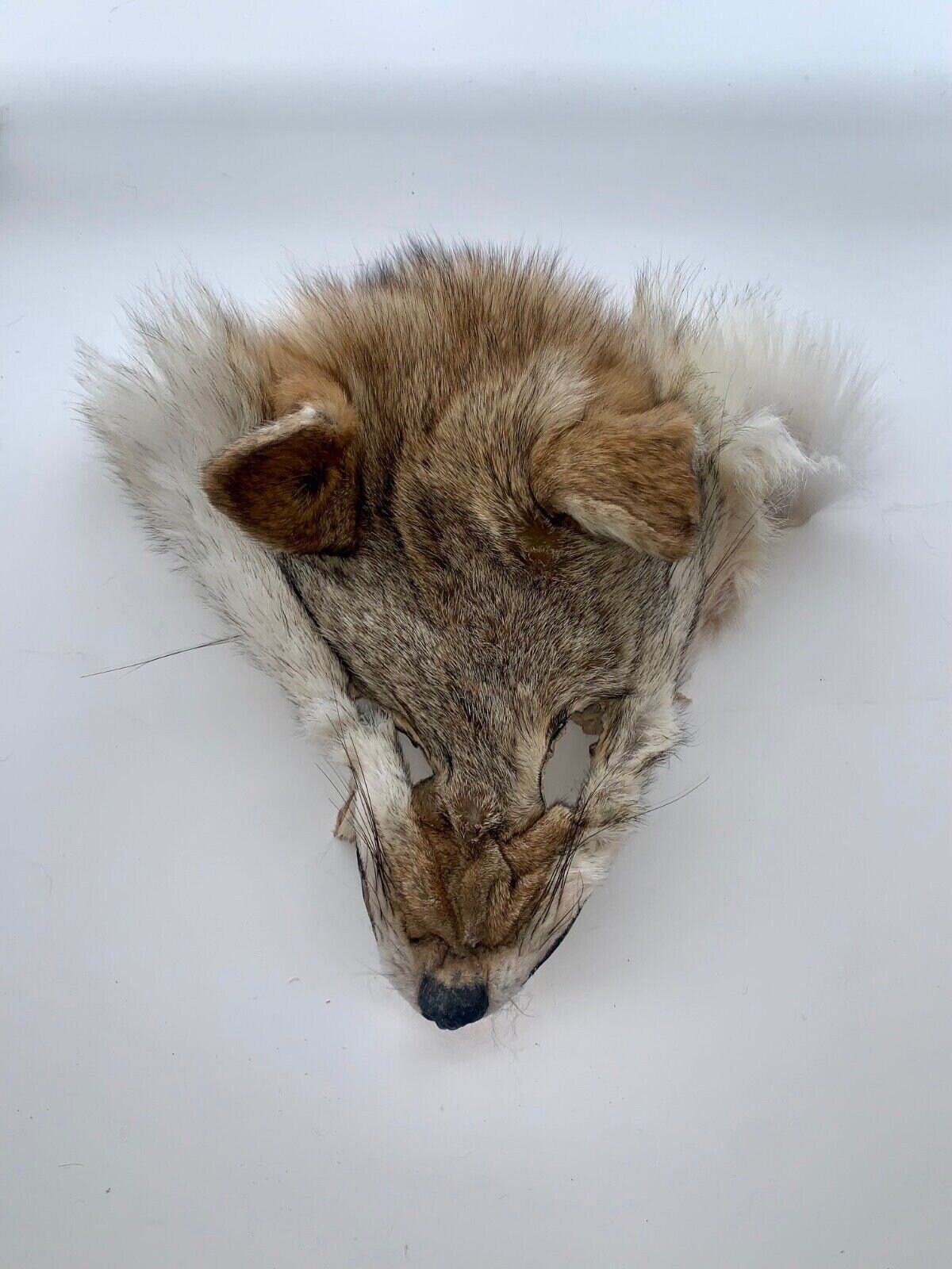 Coyote Fur Heads - Set of 10 - Etsy