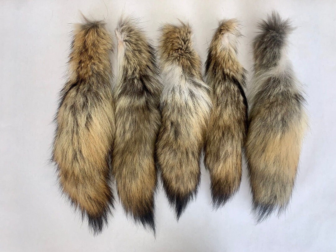 Coyote Fur Tails - Set of Five - Etsy