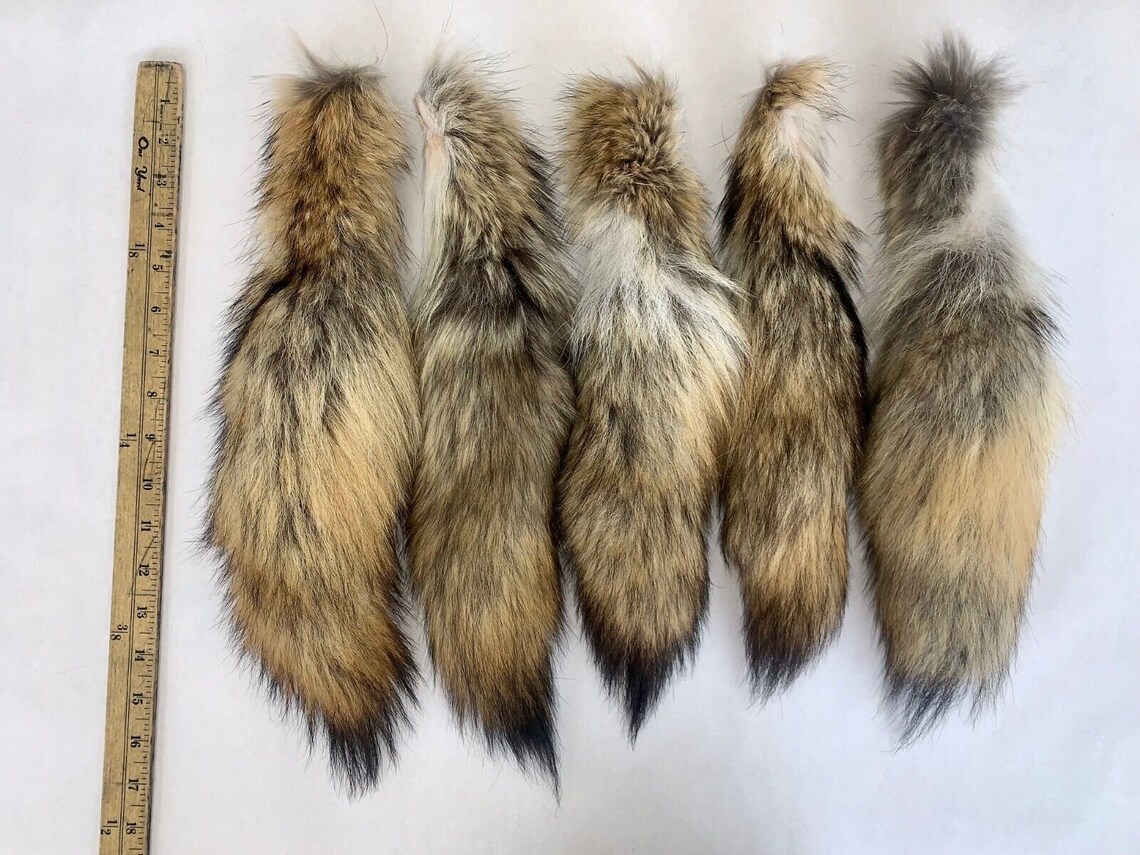 Coyote Fur Tails - Set of Five - Etsy