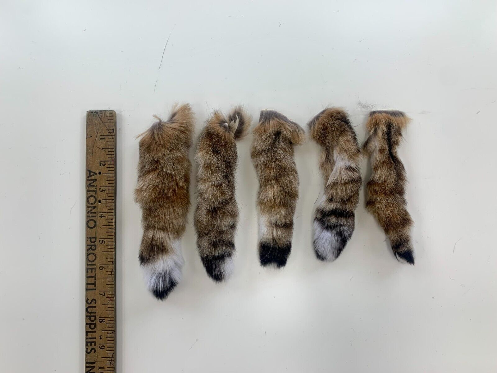 Bobcat/lynx Fur Tails - Set of Five - Etsy
