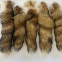 Coyote Fur Tails Set of Five - Etsy