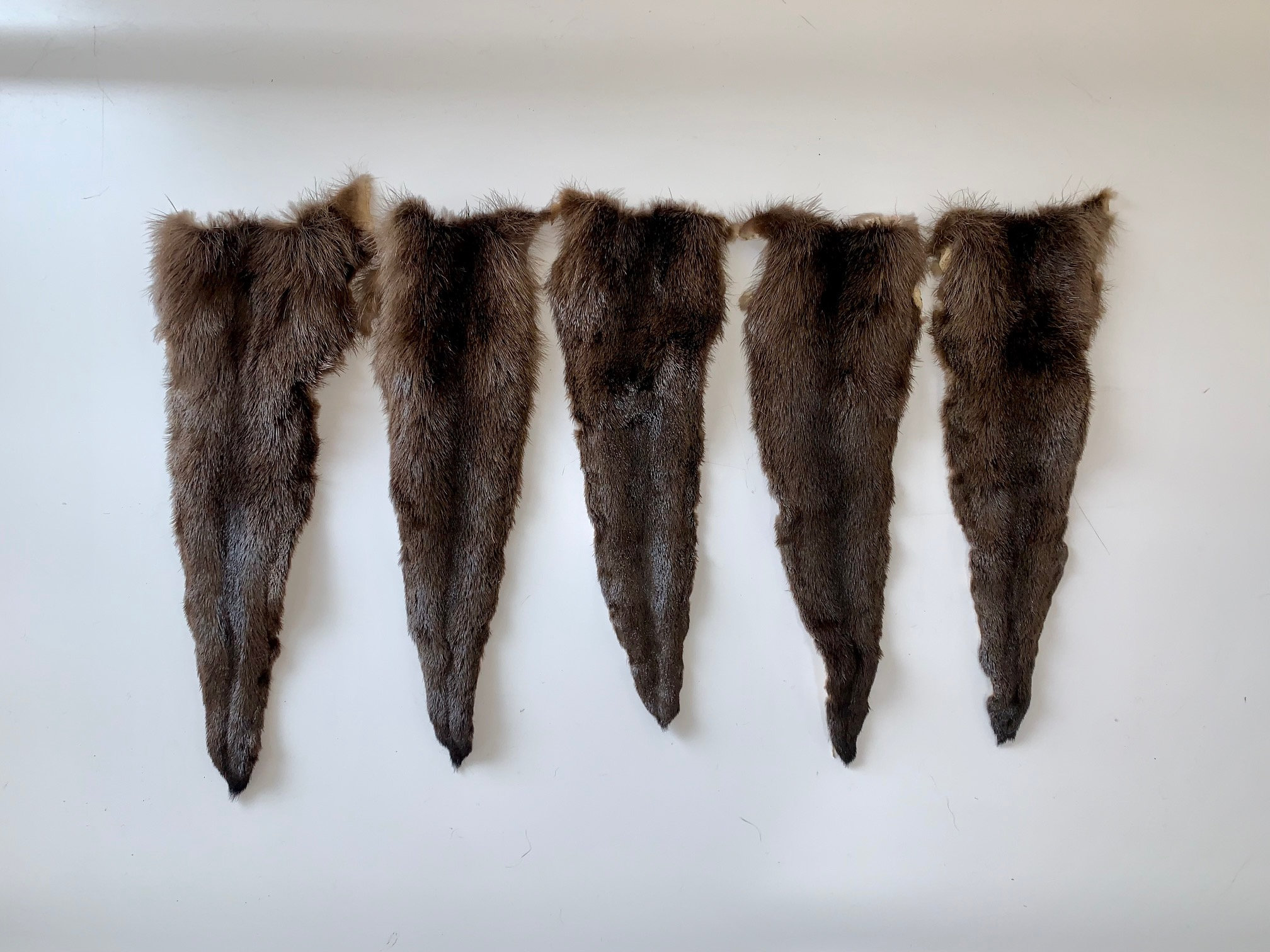 Otter Fur Tails - Set of Five - Etsy