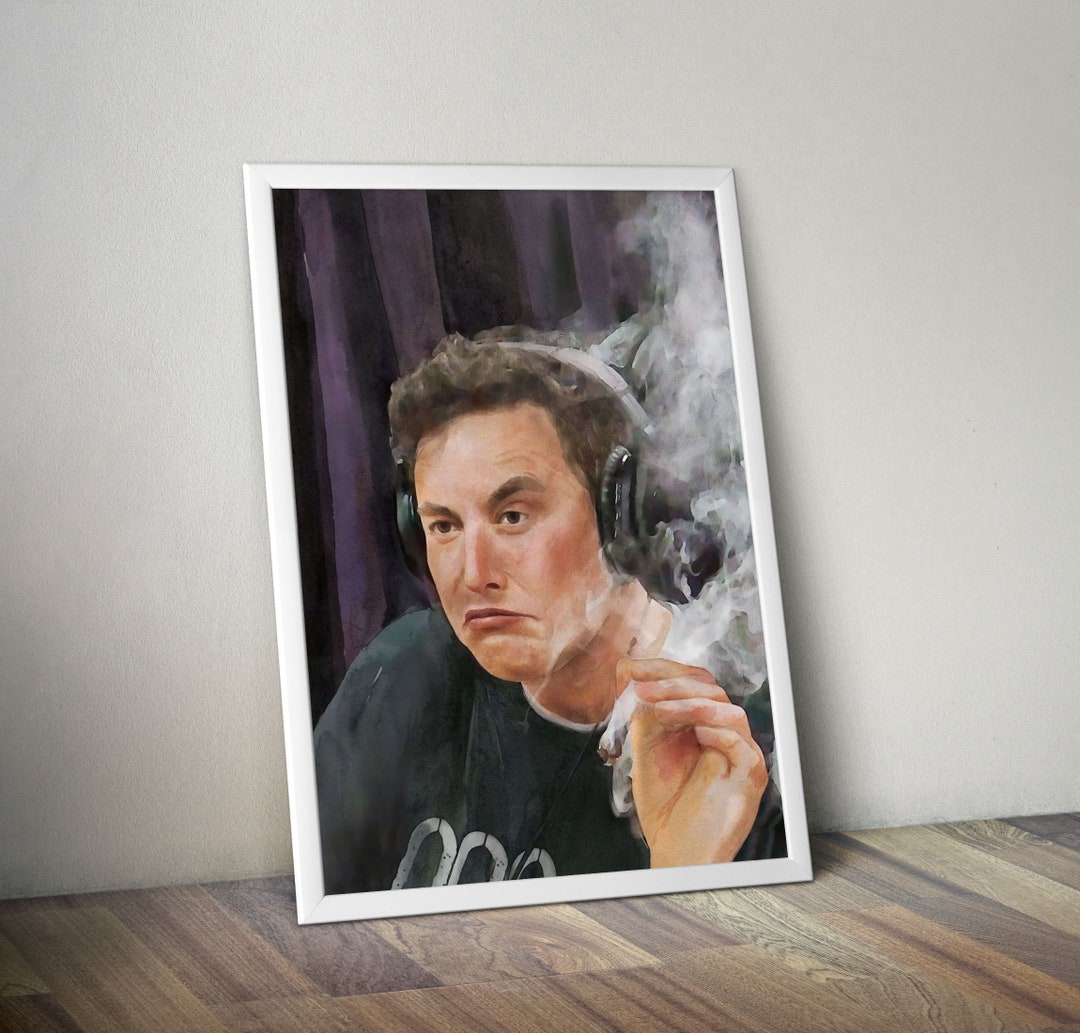 Junger Elon Musk Poster Lustige Meme Lustig Geschenk Meme - Etsy.de