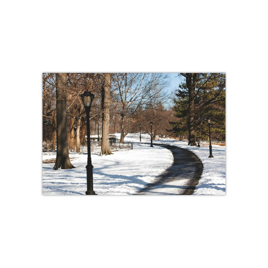 Unframed Photograph: Winter Pathway in Central Park - Etsy