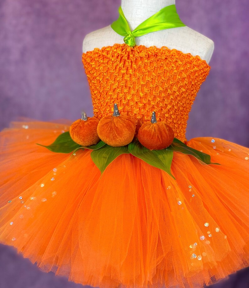 Pumpkin Orange Pumpkin Patch Halloween Costume Party Pageant Dance ...