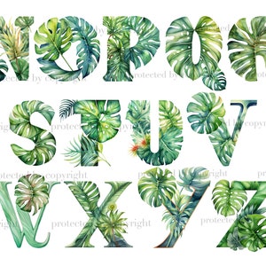 Monstera Alphabet, House Plant Clipart Png, Green Letters, Botany Png ...
