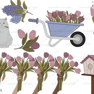 Spring Clipart Bundle, Clipart PNG Designs, Wildflower Spring Clipart ...