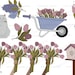 Spring Clipart Bundle, Clipart PNG Designs, Wildflower Spring Clipart ...