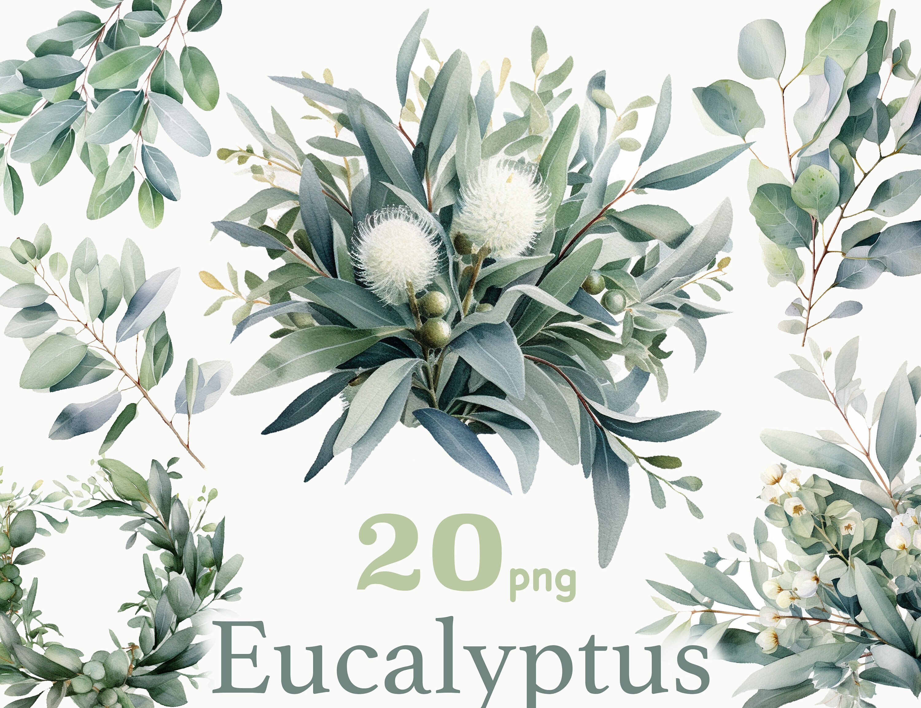 Watercolor Eucalyptus Clipart Greenery Bouquet Clipart - Etsy