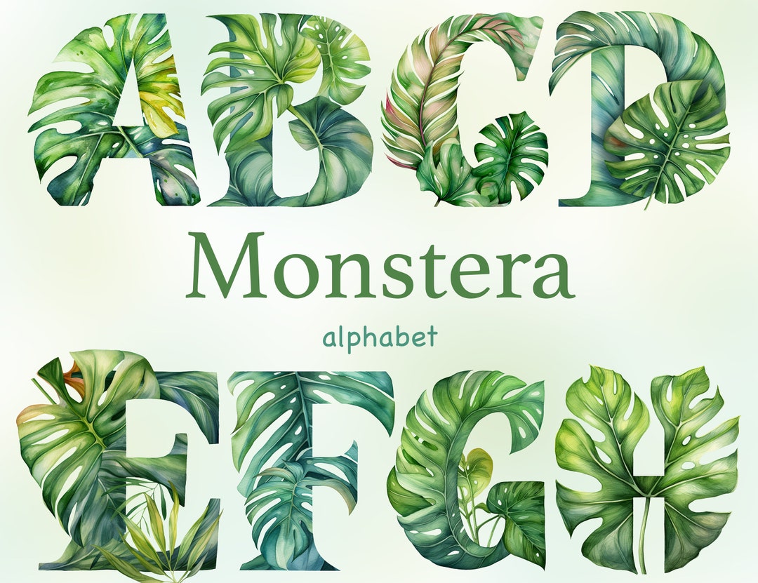 Monstera Alphabet, House Plant Clipart Png, Green Letters, Botany Png ...