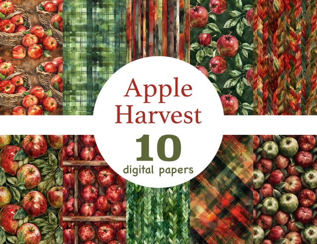 EveryDayClipart - Etsy