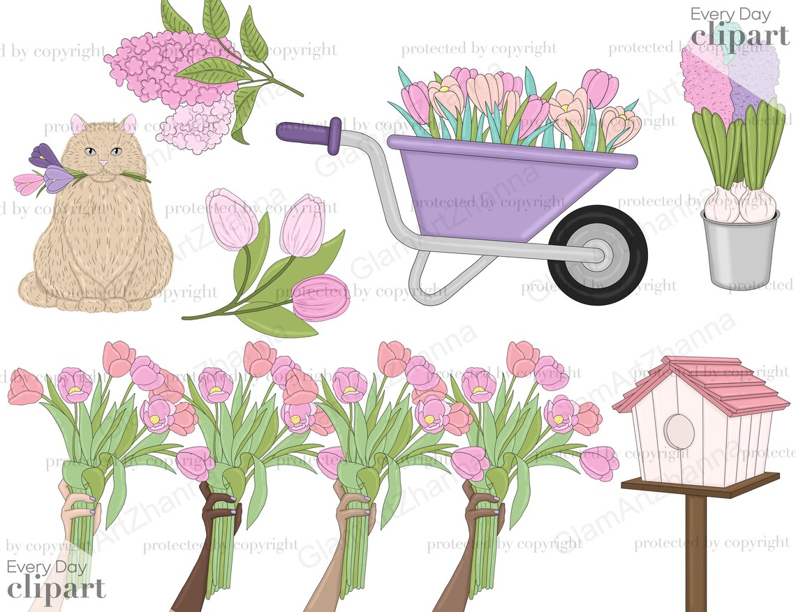 Spring Clipart Bundle Clipart PNG Designs Wildflower Spring - Etsy