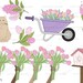 Spring Clipart Bundle, Clipart PNG Designs, Wildflower Spring Clipart ...