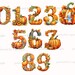 Pumpkin Alphabet Letters Clipart Png Watercolor Floral Clip - Etsy