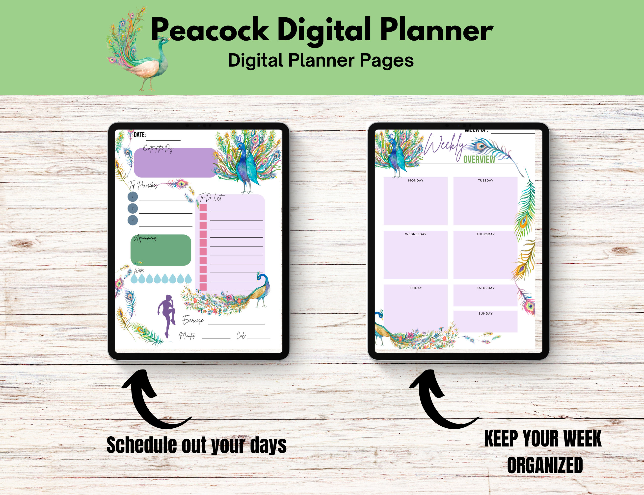 Peacock Digital Planner - PDF Download- Monthly and Daily Planner ...