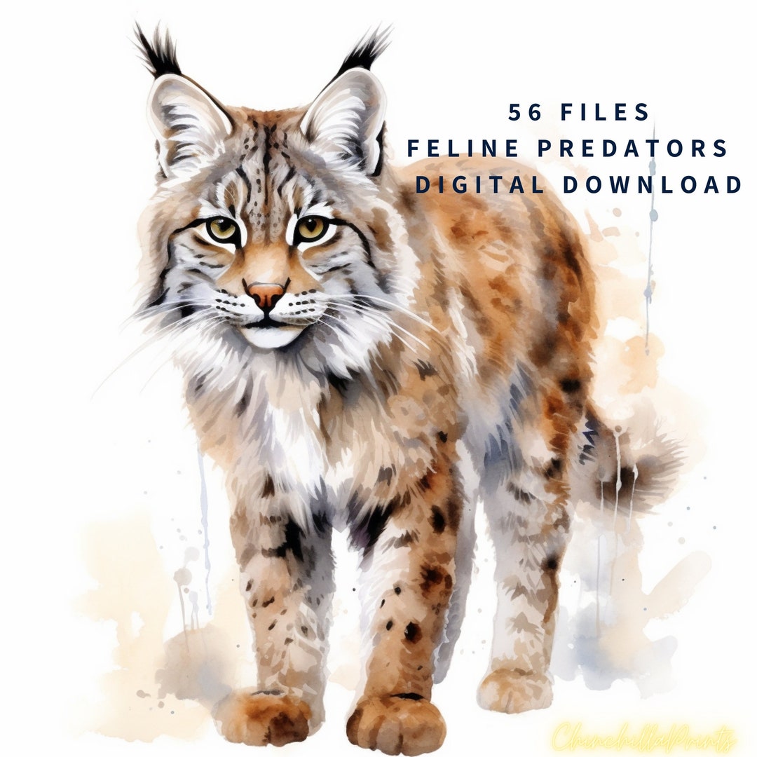 Set of 56 Prints Feline Predators Miniature Prints Predatory Cat ...