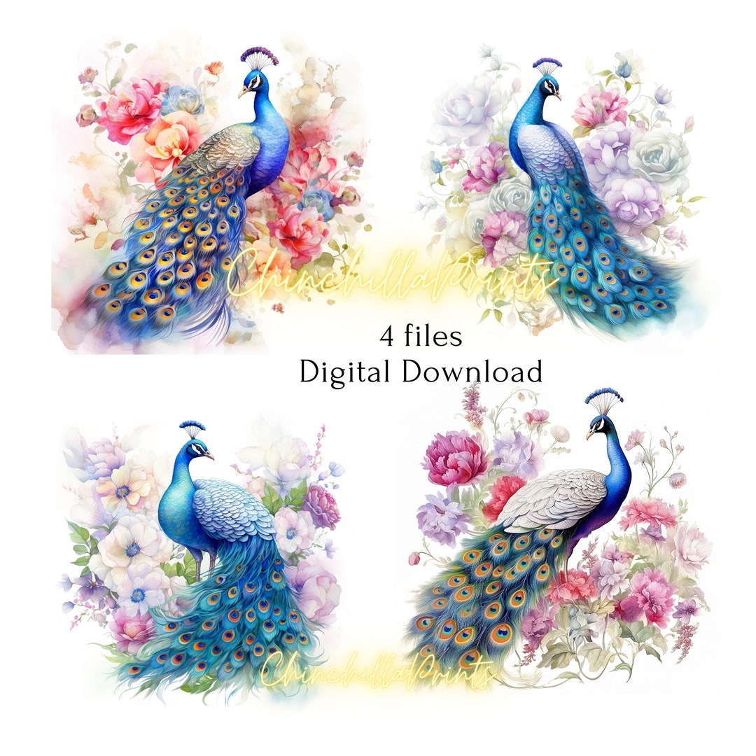 Peacock Clipart Shabby Chic Watercolor Peacock Vintage Botanical Print ...