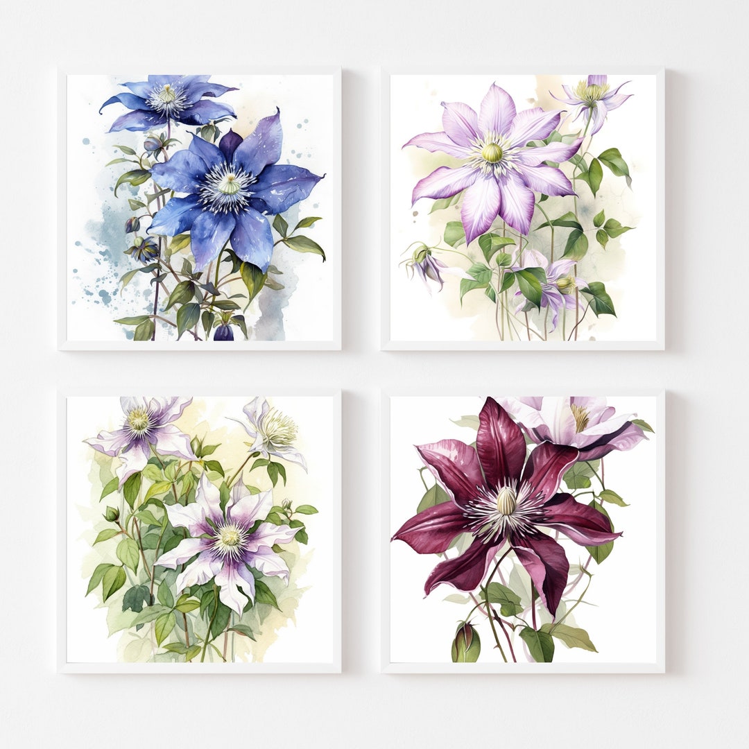 Clematis Blue Clematis Watercolor Painting Flowers Floral Art Digital ...