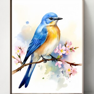 American Bluebird, Blue Bird, Blue Bird Art, Eastern Sialia, Eastern ...
