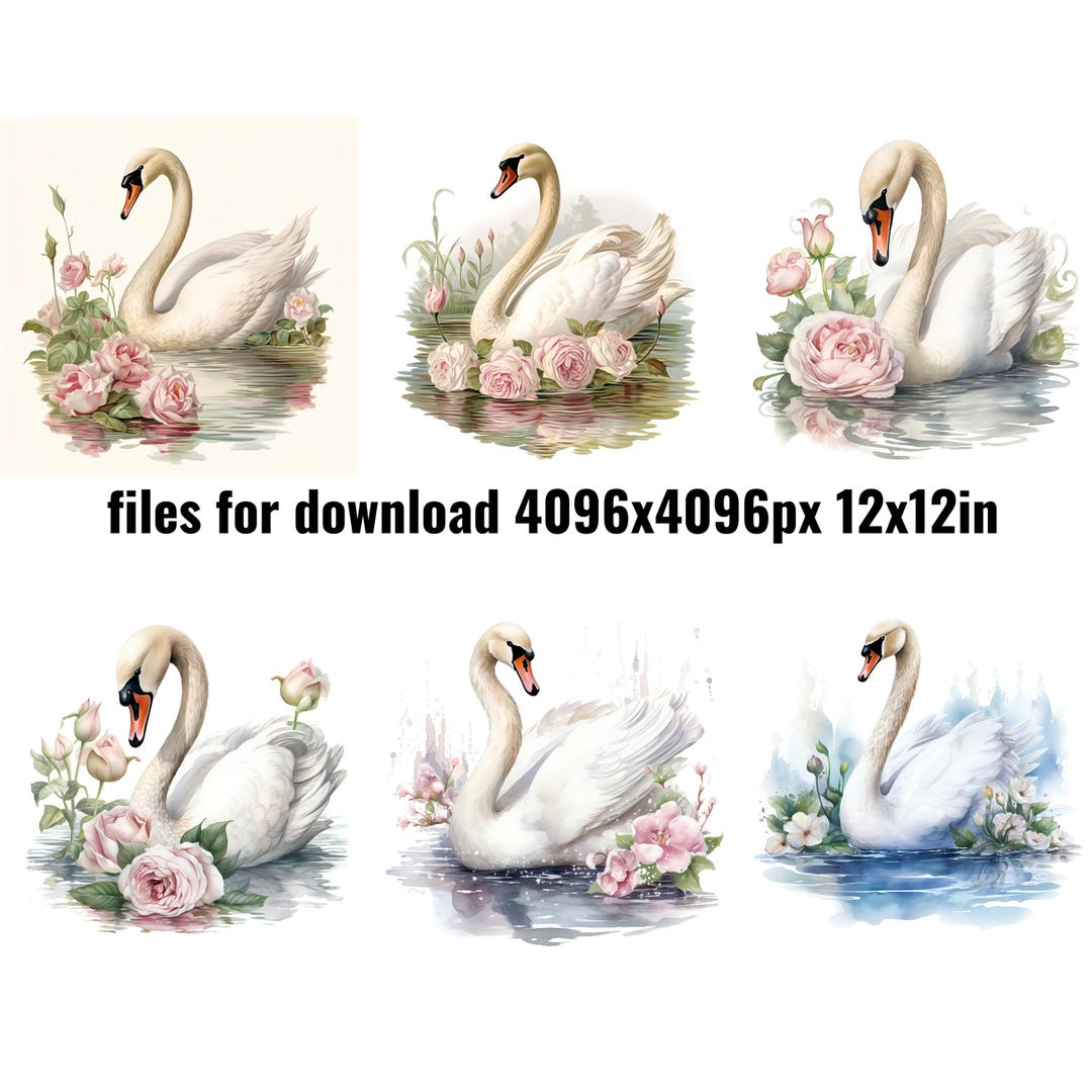 Swans Set of 48 on a Pond Watercolor Swans Clipart Bird Art Watercolor ...