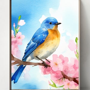 American Bluebird, Blue Bird, Blue Bird Art, Eastern Sialia, Eastern ...