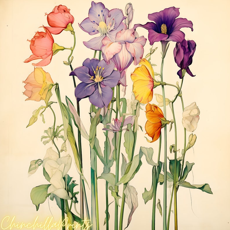 Watercolor Herbarium Charles Rennie Mackintosh Inspired Art Nouveau ...