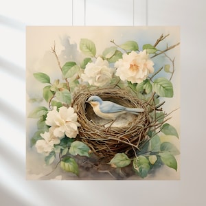 Shabby Chic Birds in a Nest Clipart Set 5 Watercolor Images, Digital ...