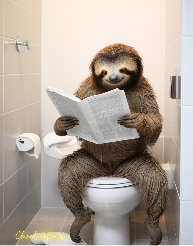 Sloth Sits on the Toilet and Reads a Newspaper, Funny Photo in the ...