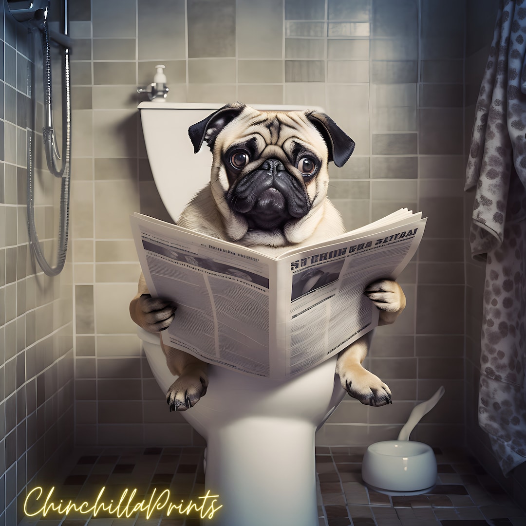 Pug Sitting on the Toilet Reading the Newspaper, Funny Bathroom Decor ...