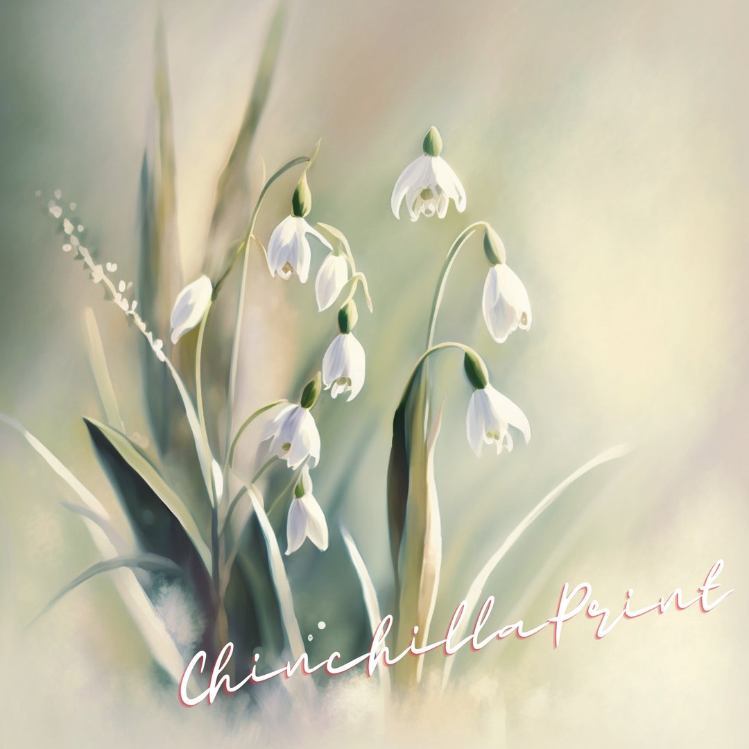 Snowdrop Flowers Art Snowdrop Digital Art Print Flower Digital Wall Art ...