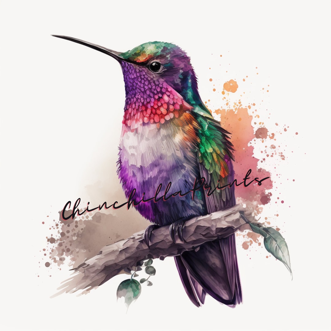 Hummingbird Art Print Hummingbird Wall Art Print Hummingbird Watercolor ...
