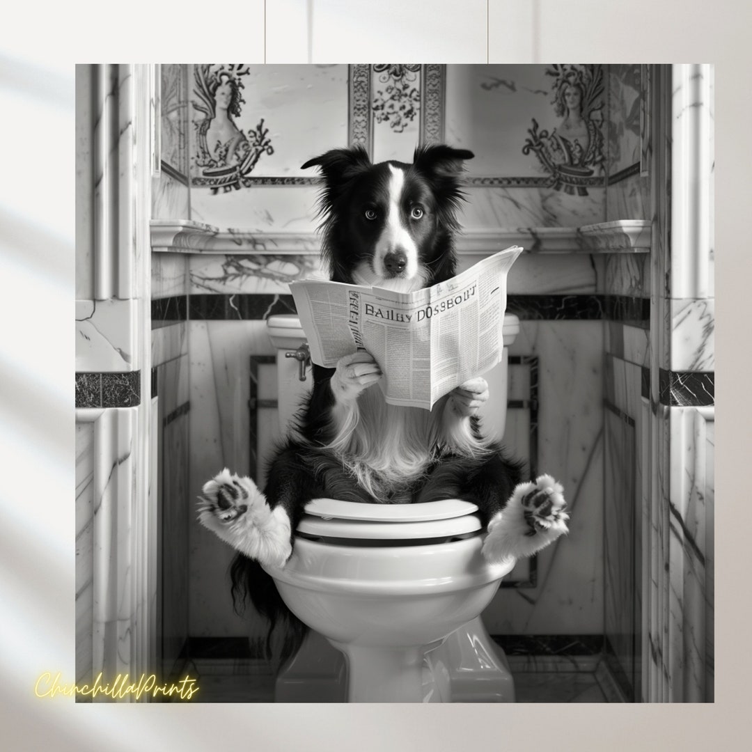 Border Collie Wall Art, Fun Bathroom Decor, Border Collie on the Toilet ...