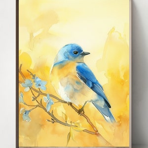 American Bluebird, Blue Bird, Blue Bird Art, Eastern Sialia, Eastern ...