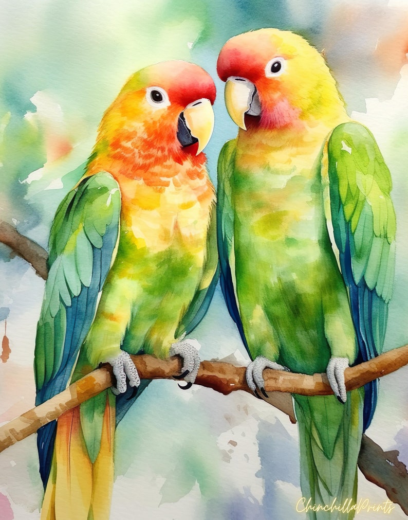 Love Parrots Art Lovebirds Art Print Aquarelle perroquets - Etsy France