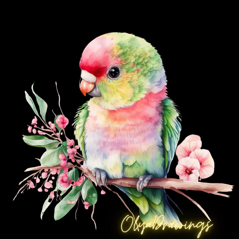 Parrot PNG Files for Sublimation Parrot Clipart Bird Art Transparent ...