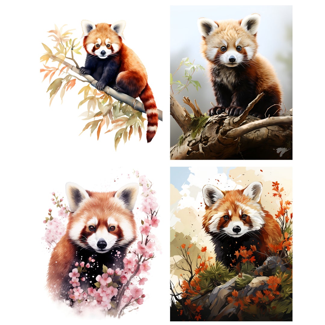 Red Panda Red Panda Watercolor Red Panda Painted Red Panda Illustration ...