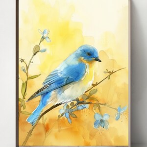 American Bluebird, Blue Bird, Blue Bird Art, Eastern Sialia, Eastern ...