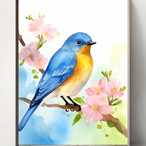 American Bluebird, Blue Bird, Blue Bird Art, Eastern Sialia, Eastern ...