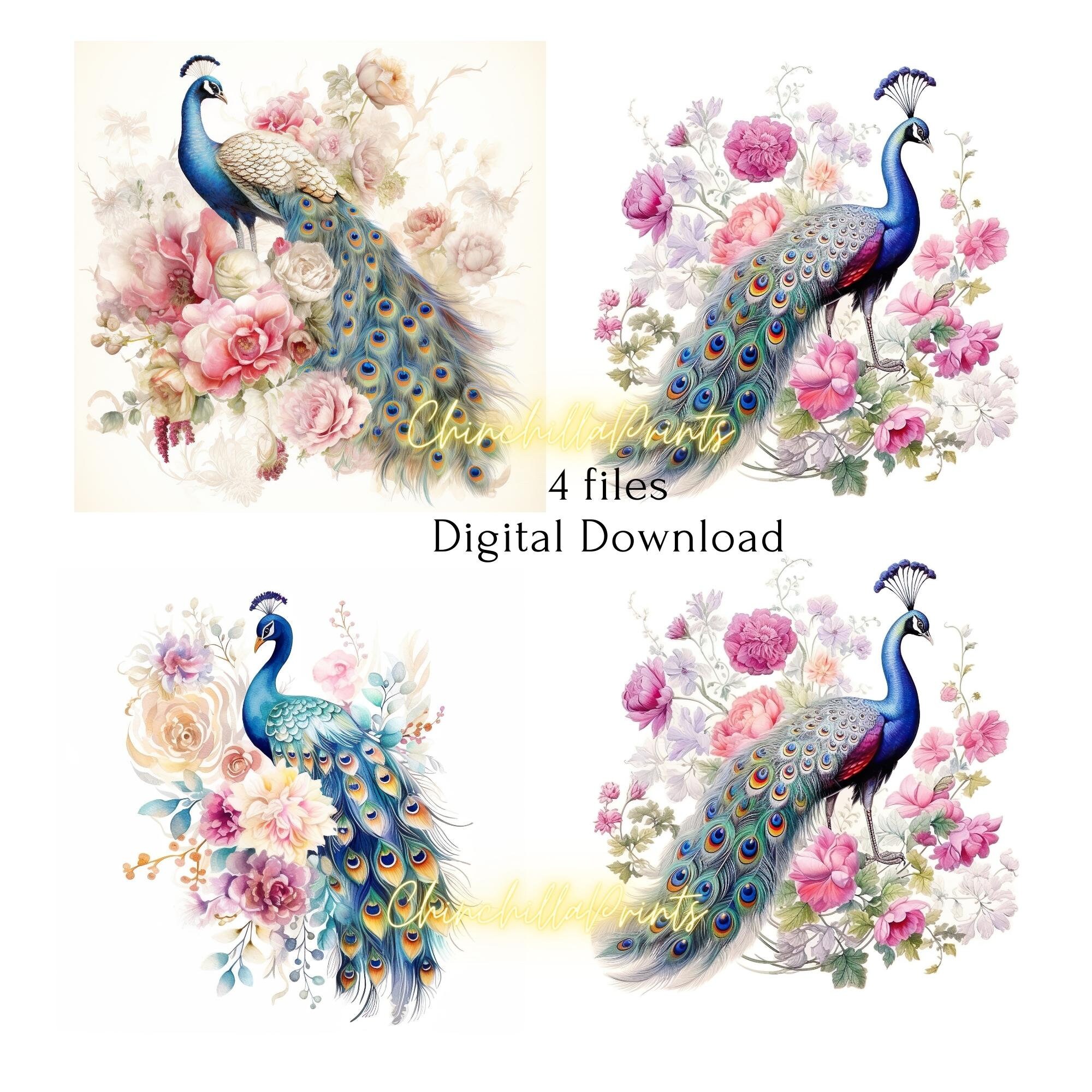 Peacock Set of 22 Shabby Chic Watercolor Peacock Vintage Botanical ...
