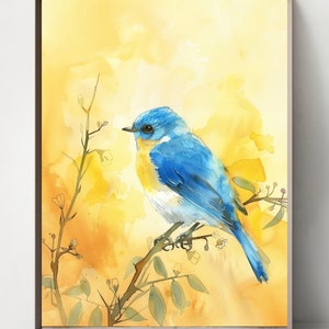American Bluebird, Blue Bird, Blue Bird Art, Eastern Sialia, Eastern ...