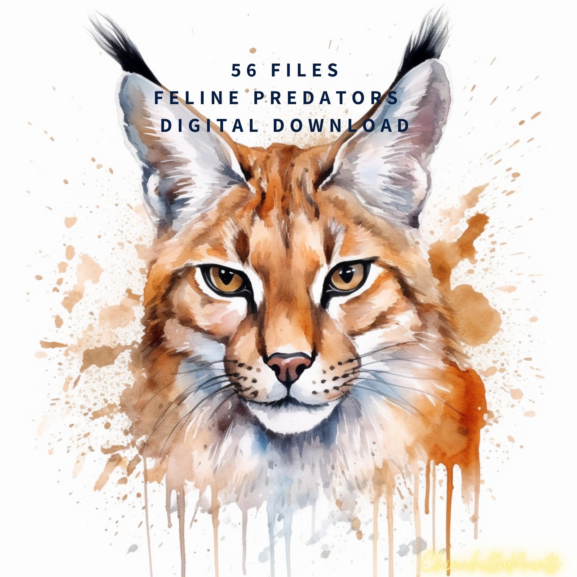 Watercolor Wild Cats Clipart: 56 JPG Animal Illustrations (digital ...