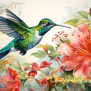 Hummingbird Art Set of 9 Art Print Hummingbirds Painting Bird Art Bird ...