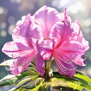 Coast Rhododendron Set of 11, Washington State Symbol, Watercolor ...